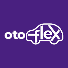 Anasayfa — Indisol