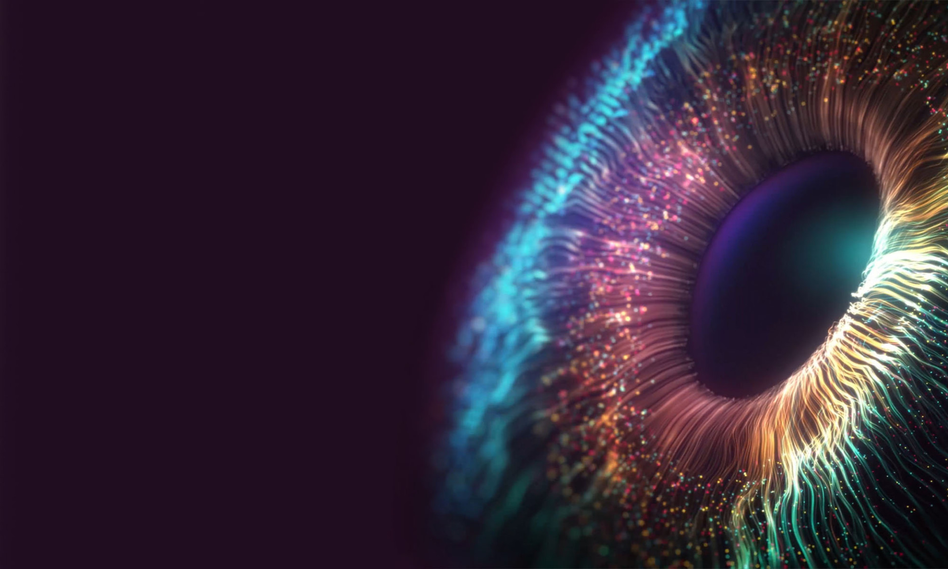 Anasayfa — Indisol